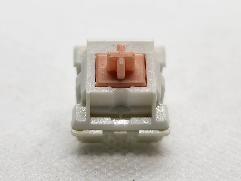 KTT Holy Dog – SwitchOddities