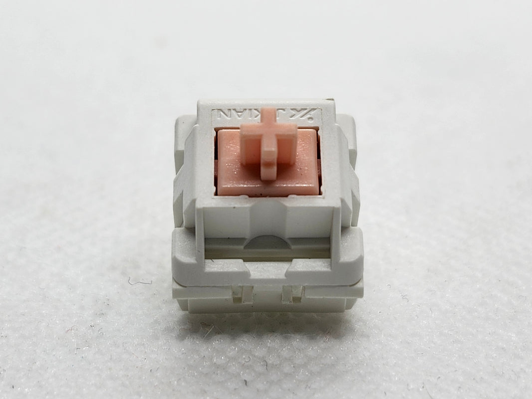 Our Catalog – SwitchOddities