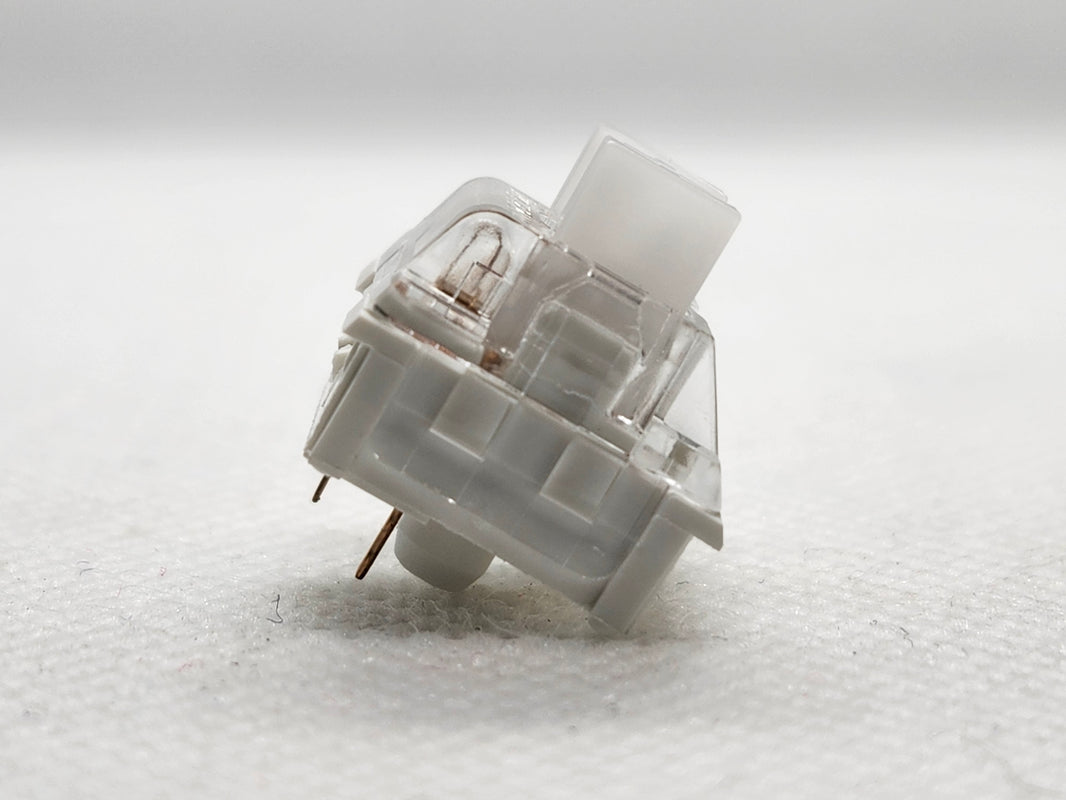 Our Catalog – SwitchOddities