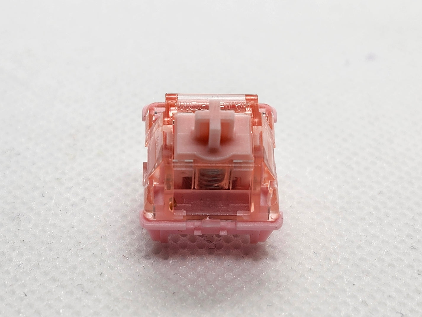 Latenpow Magnetic Strawberry – SwitchOddities