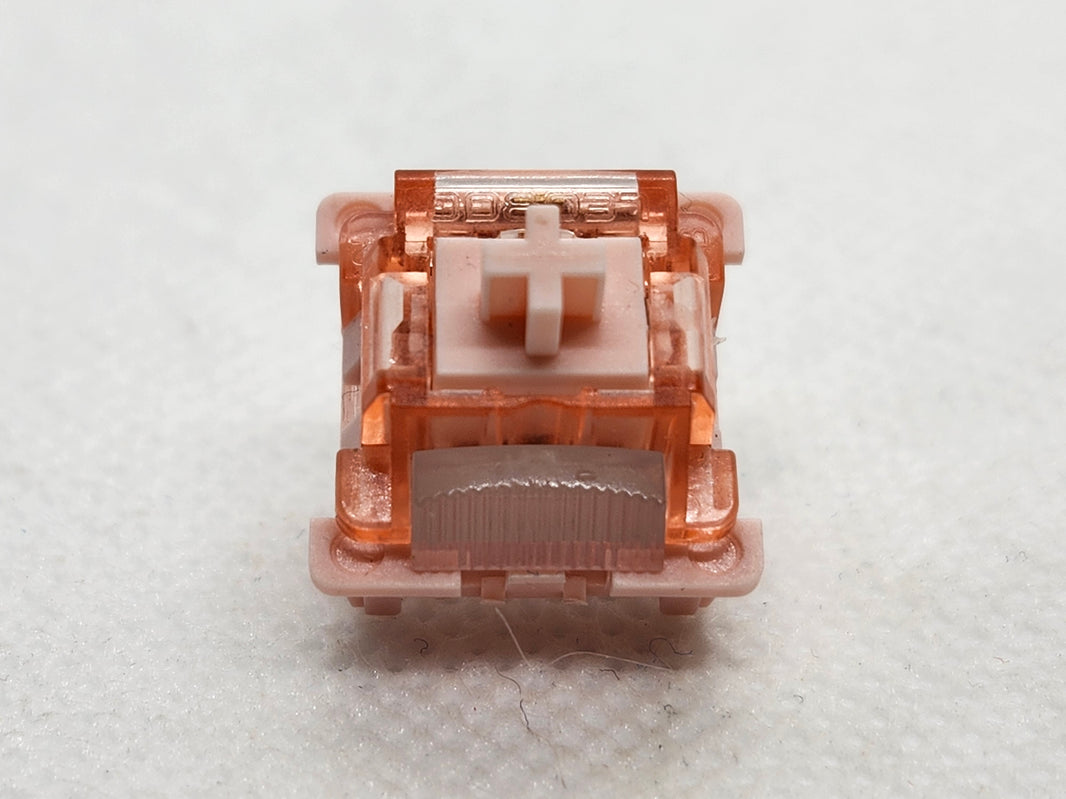 Our Catalog – SwitchOddities