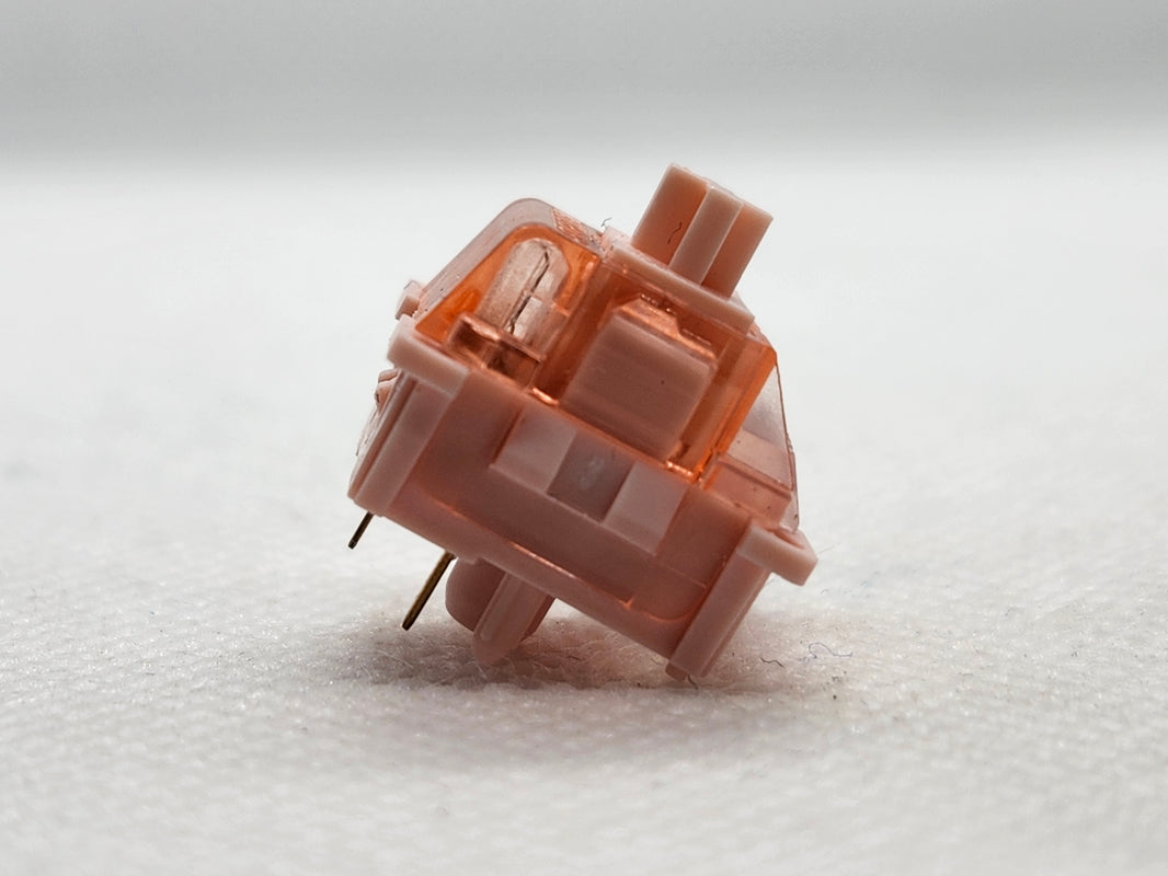 Our Catalog – SwitchOddities