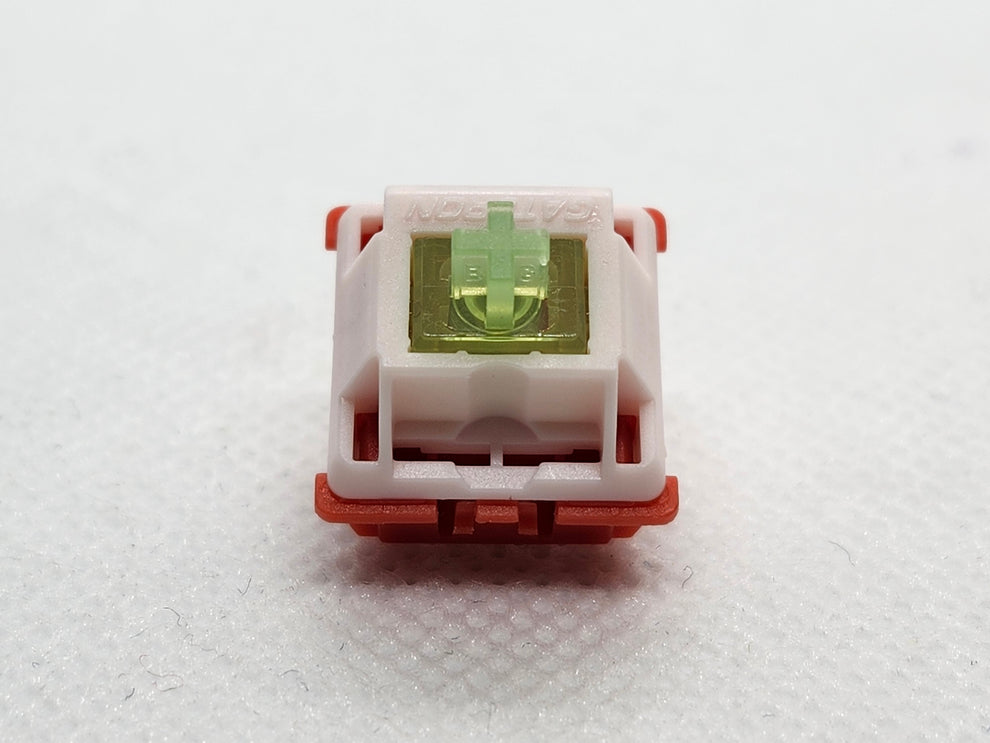 Summertime V2 – SwitchOddities