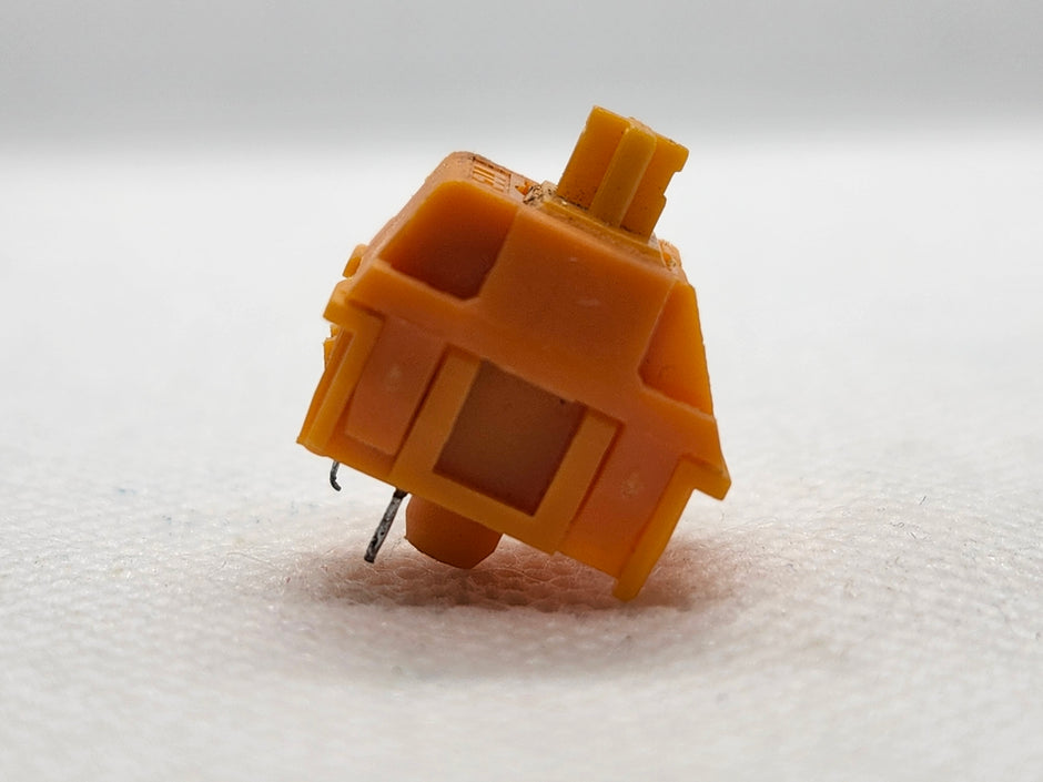 Our Catalog – SwitchOddities