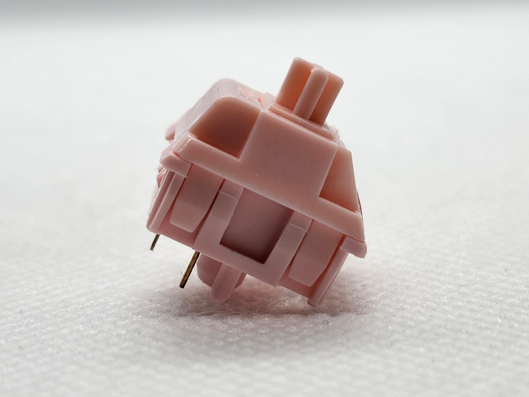 Our Catalog – SwitchOddities