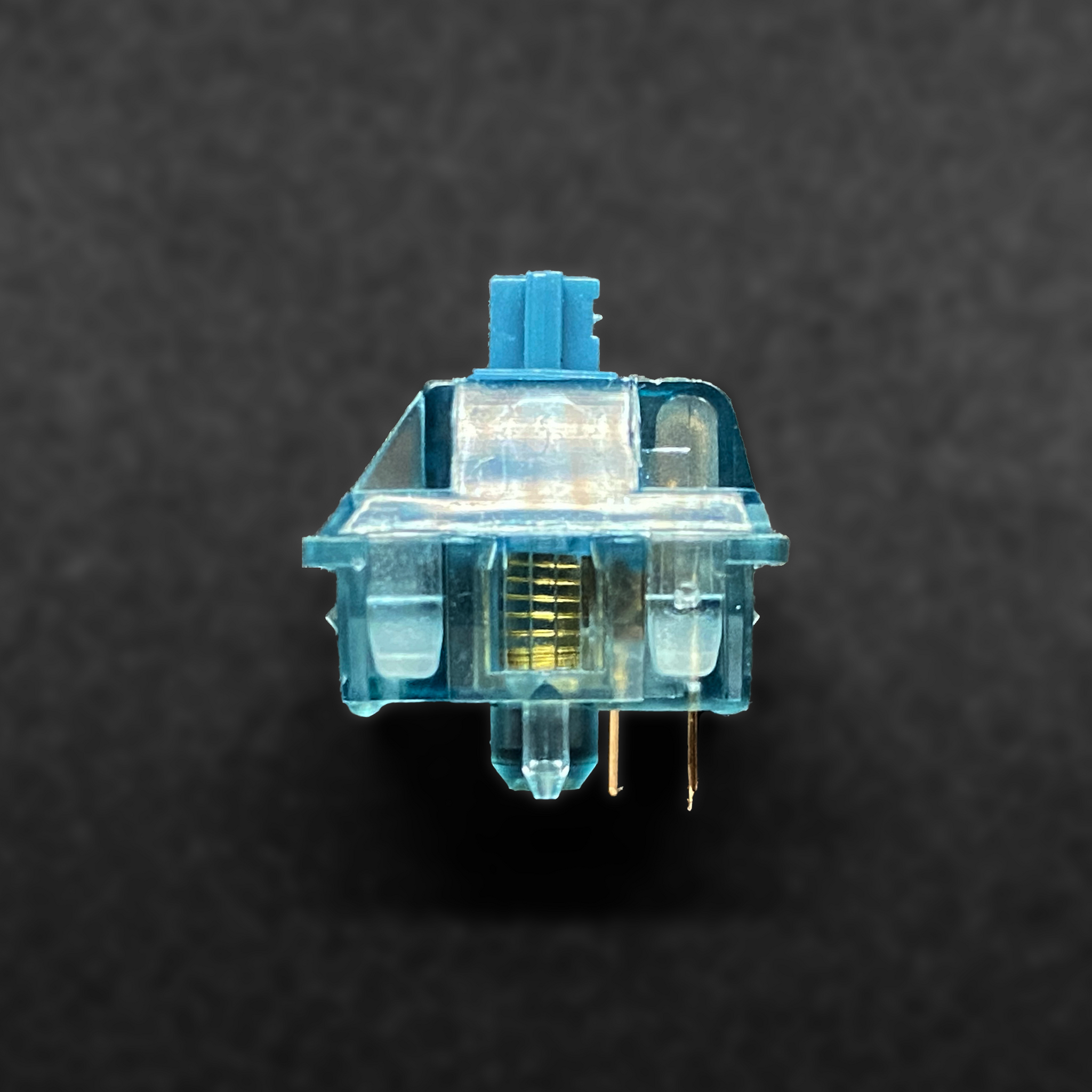 dk x JWK Bluey – SwitchOddities