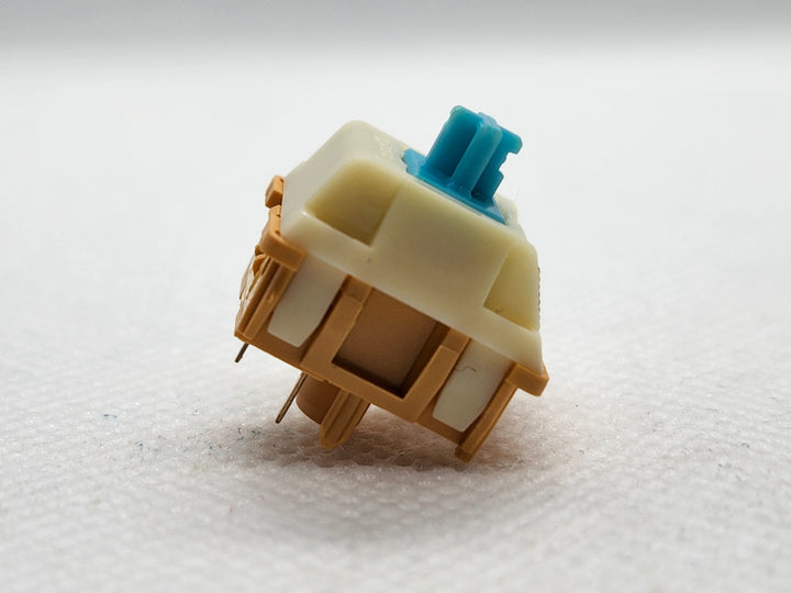 Our Catalog – SwitchOddities