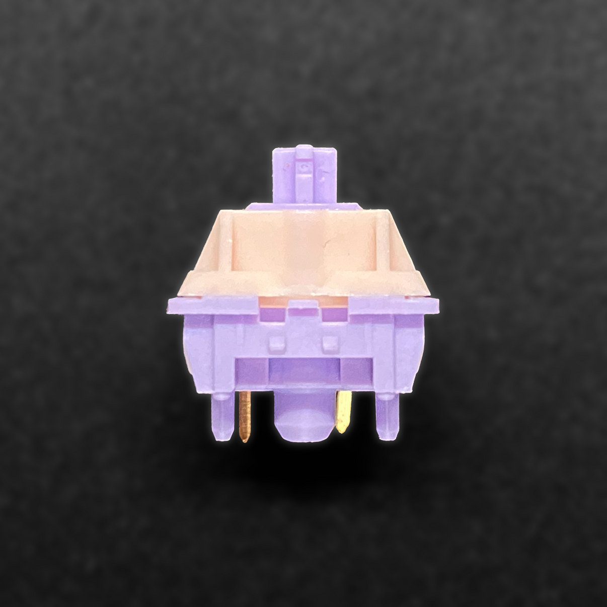 MMD Princess - Linear – SwitchOddities