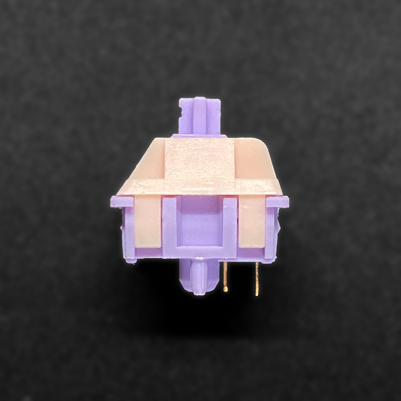 MMD Princess - Linear – SwitchOddities