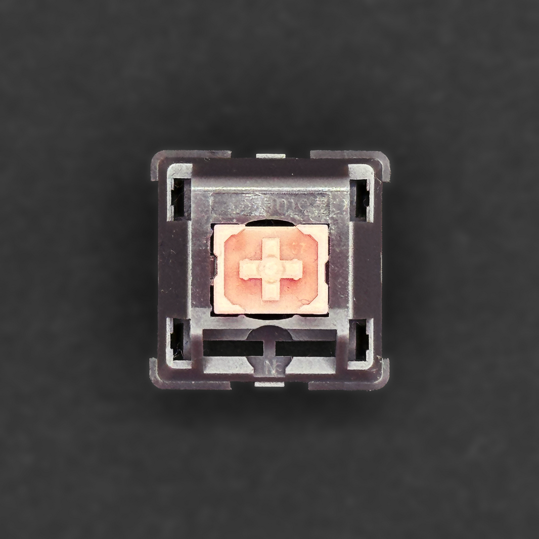 Our Catalog – Page 3 – SwitchOddities