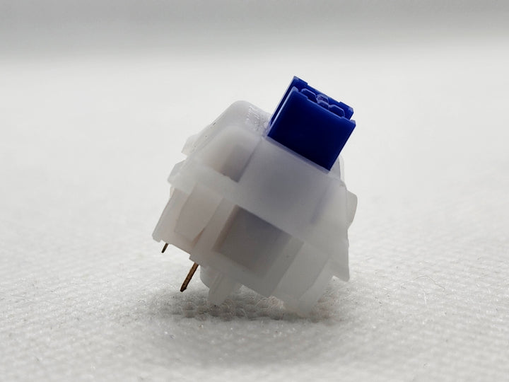 Our Catalog – SwitchOddities