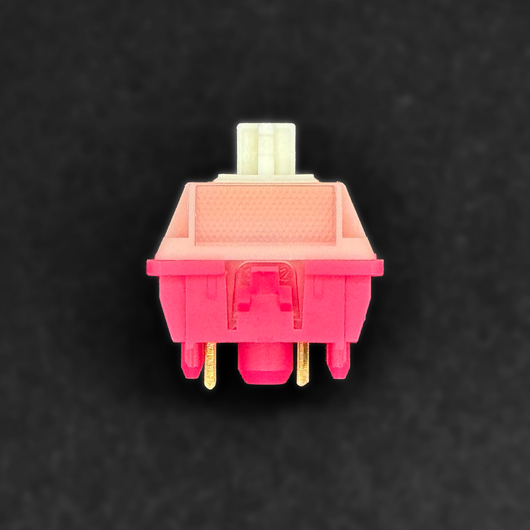 Our Catalog – SwitchOddities