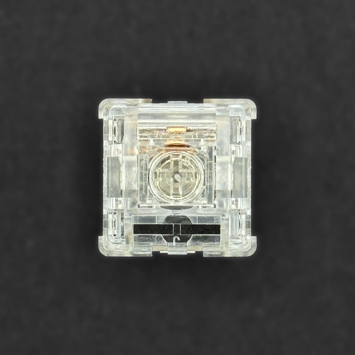 Our Catalog – SwitchOddities