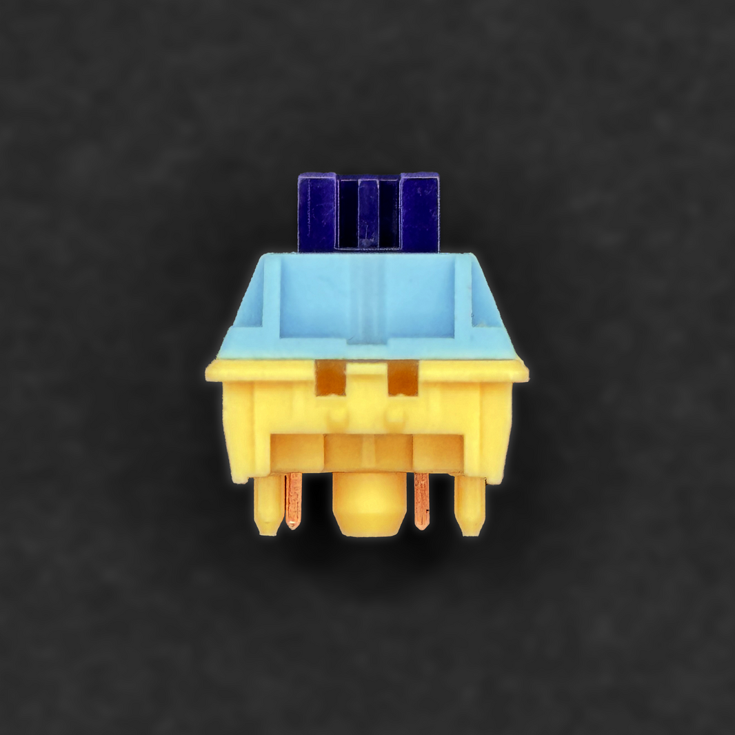 Our Catalog – SwitchOddities