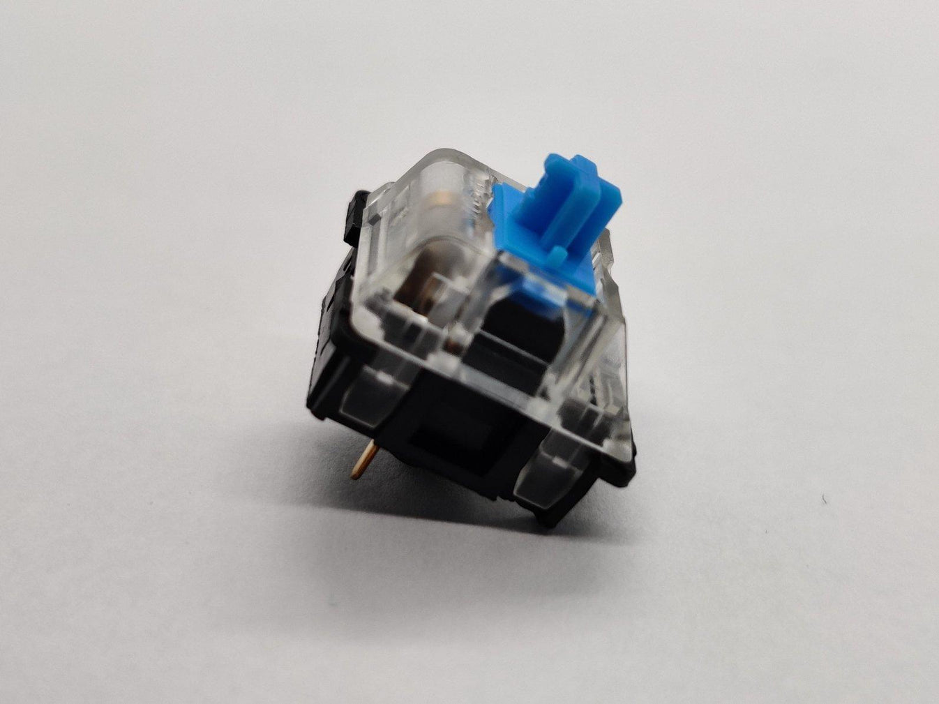 BSUN Blue – SwitchOddities